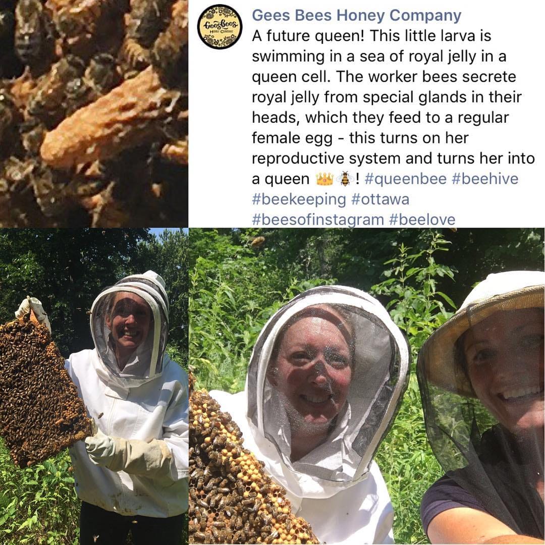 Bumble Bee Breathing: Reduce Stress & Improve Focus with Breathwork